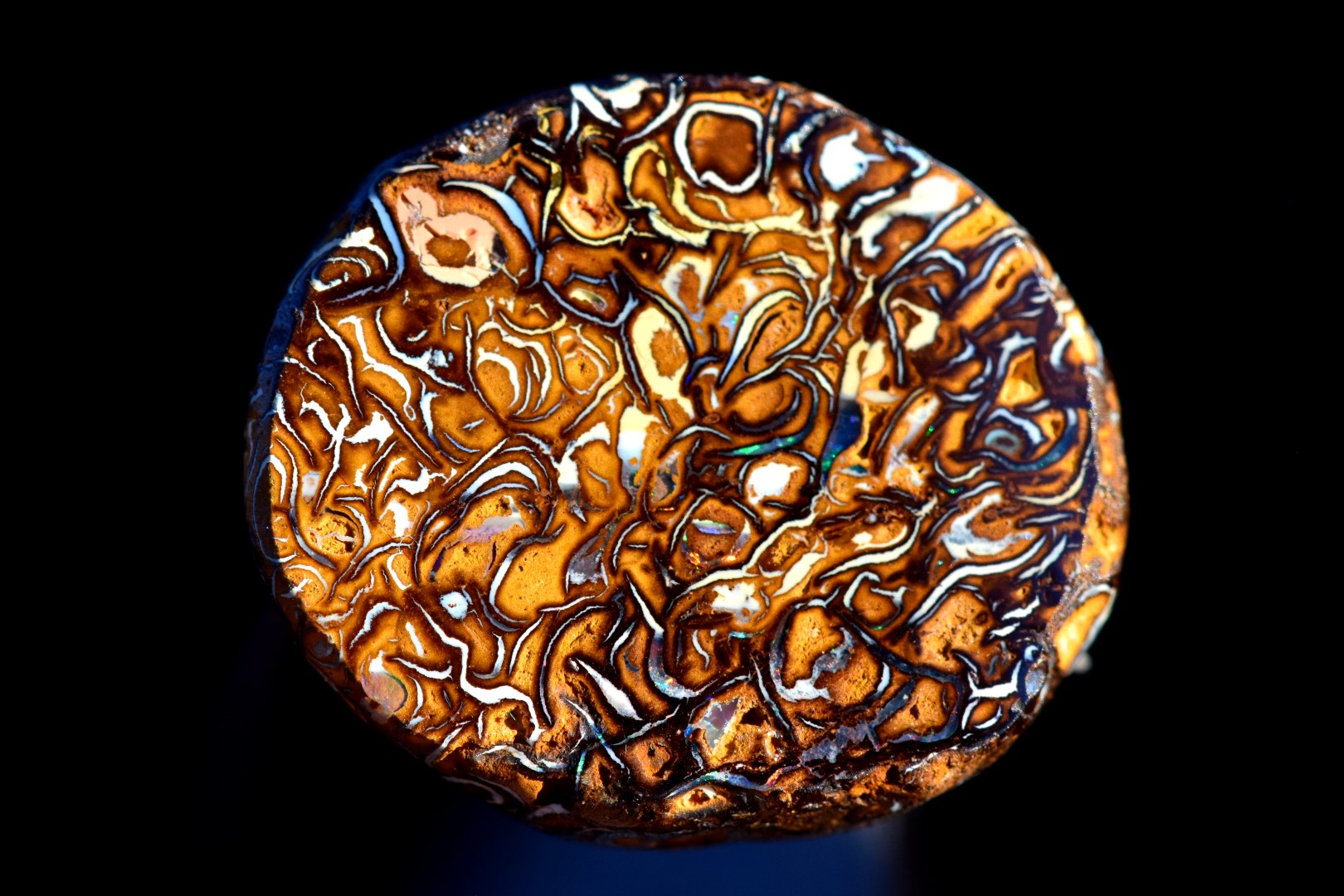 Yowah – Have Home Will Travel