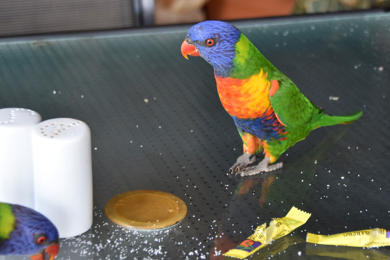 Fossicking around Rubyvale – Have Home Will Travel